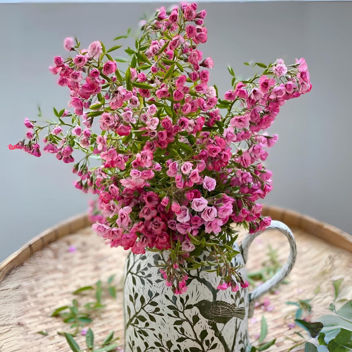 Mac Spice Rose Seeds - Perennial, Open-pollinating, Deciduous ...