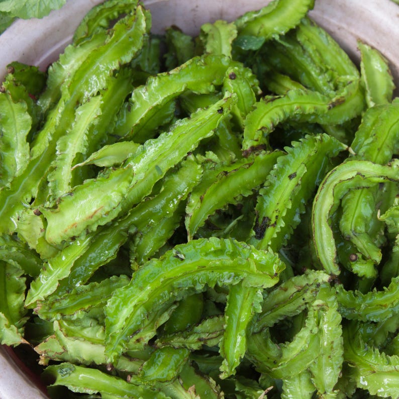 Winged Bean Seeds – Four-angled Bean – Fast Growing – Heirloom ...