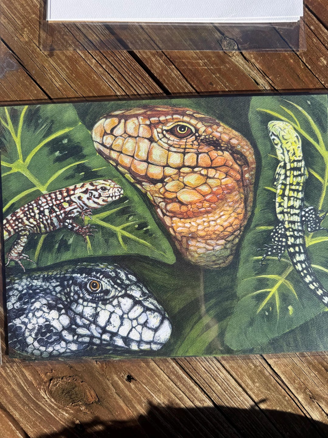 Giant Argentine Tegu Art Print 8.5 X 11 Watercolor Wall Art SIGNED ...
