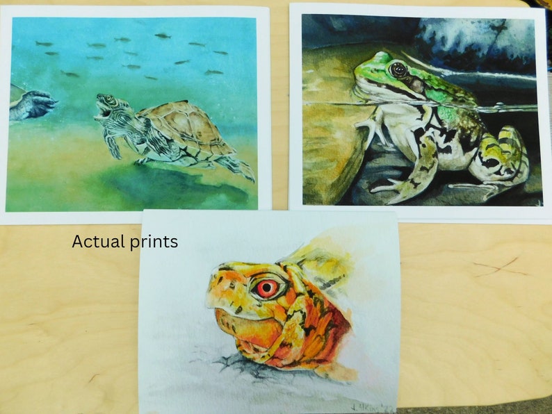 Three-toed Box Turtle - Terrapene Carolina Triunguis - 8 X 10 Inch ...