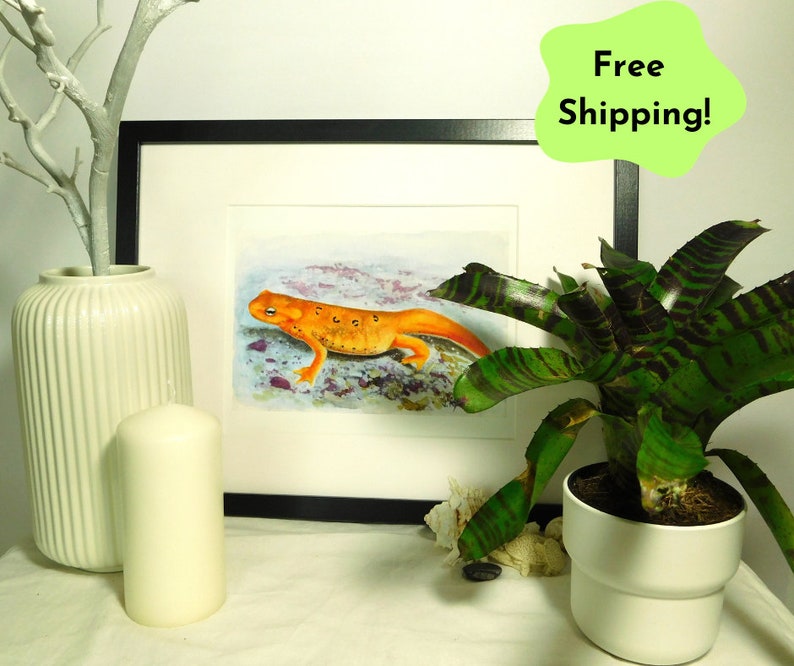 Eastern Newt Eft Watercolor Painting – Signed Wildlife Art Print (6x9 ...