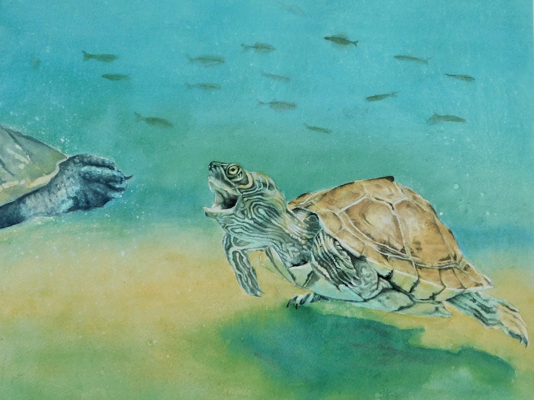 Swimming Map Turtle Watercolor Print - 10 X 14 Inches - Nature-inspired ...
