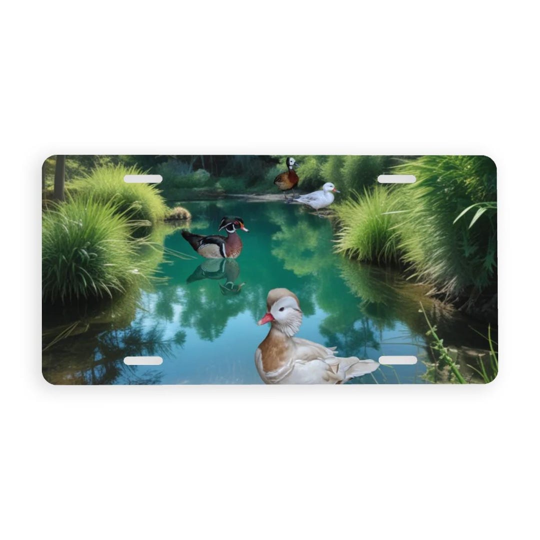 Wild Waterfowl License Plate, Wood Duck, Mandarin - Etsy