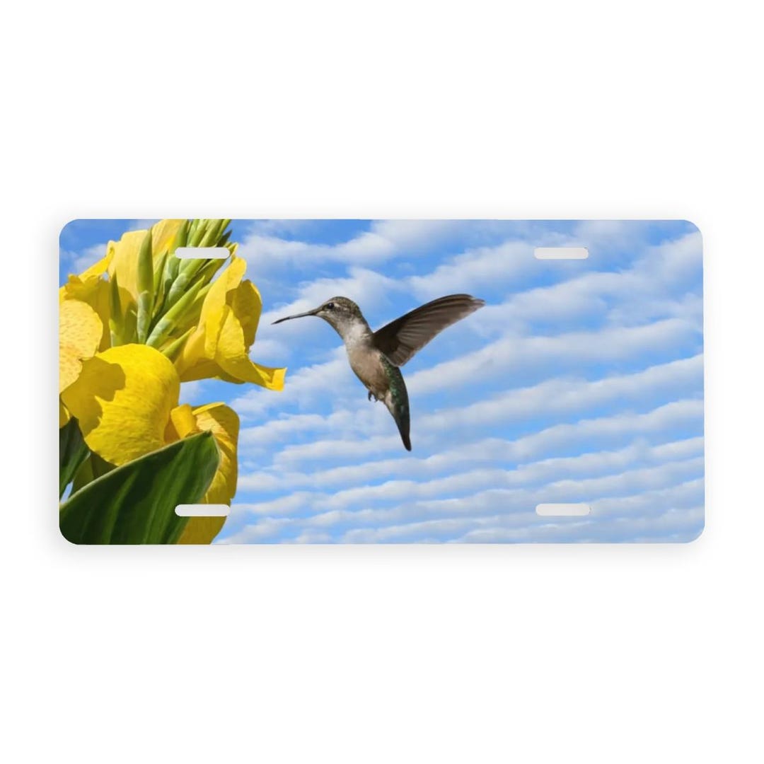 Hummingbird License Plate - Etsy