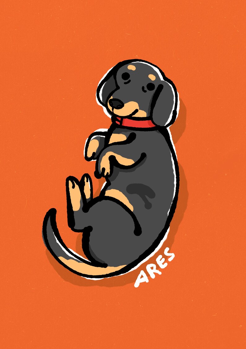 Custom Illustrated Pet Portrait Personalized Cat Dog Illustration ...