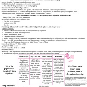 Psychology Study Bundle, AP PSYCH and PSYC 300. Psychology 101 ...