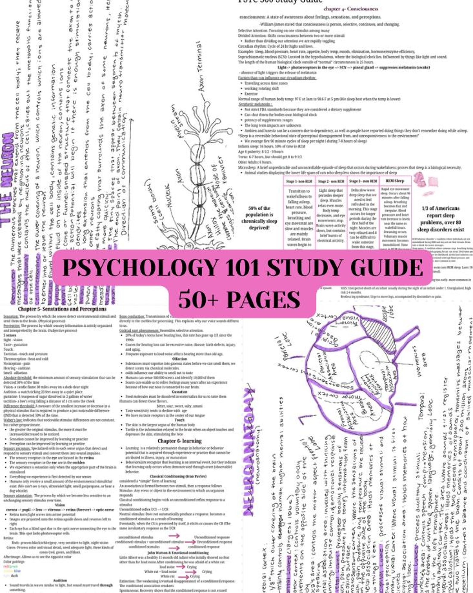 Psychology Study Bundle, AP PSYCH and PSYC 300. Psychology 101 ...