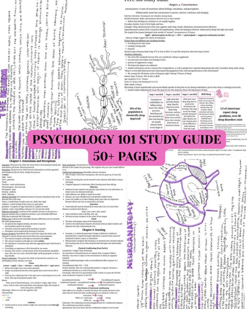 Psychology Study Bundle, AP PSYCH and PSYC 300. Psychology 101 ...