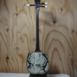 Japanese Traditional Mini Shamisen Model - Snakeskin Style, 45cm Tall ...