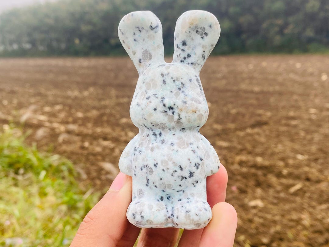 3.8 Natural Bodhi Stone Quartz,crystal Rabbit,bodhi Stone Rabbit Skull ...