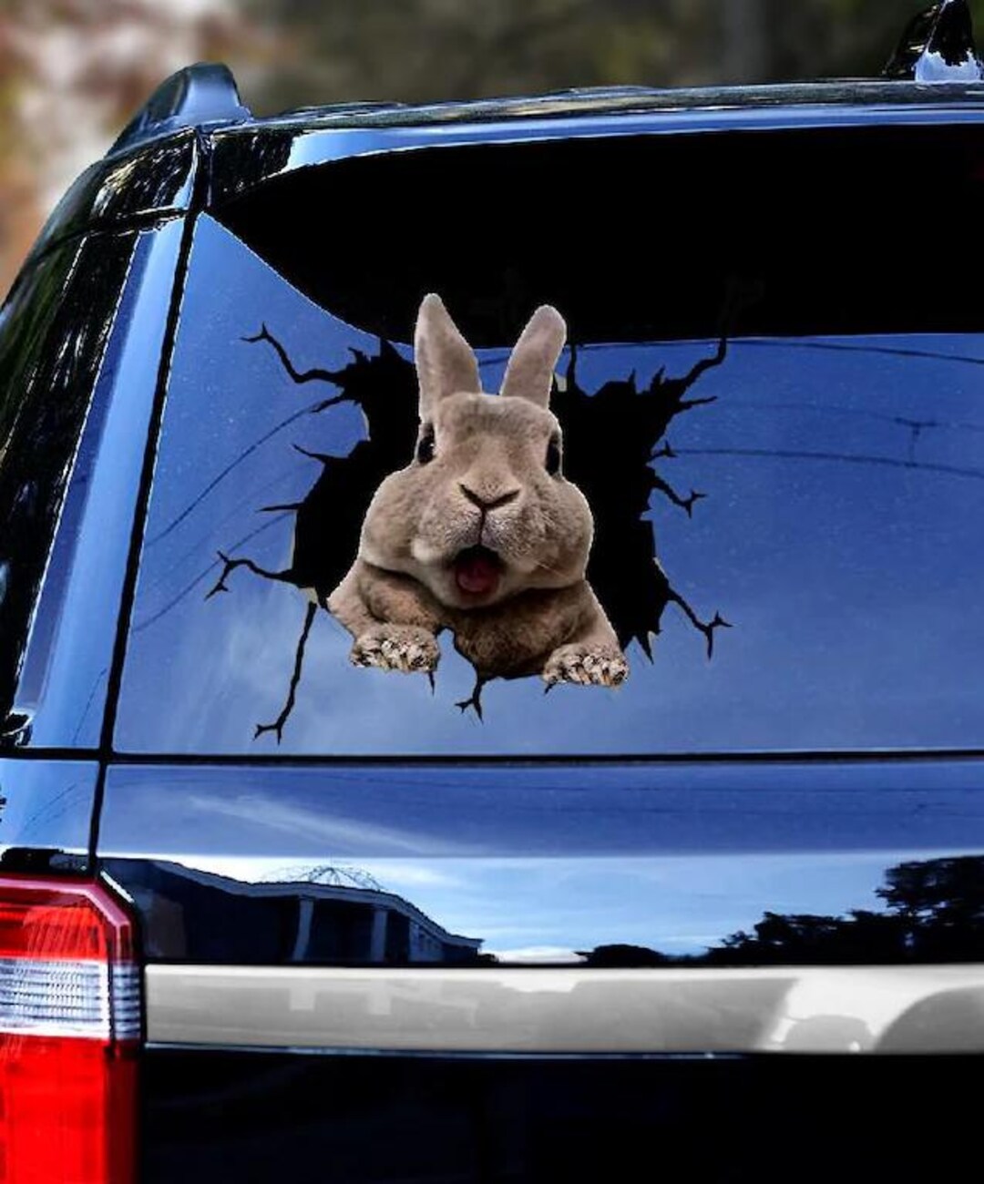 Rabbit Vinyl Decal for Car, Bunny Bumper Sticker, Rabbit Peeking Vinyl ...