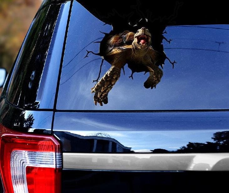 Ocean Sea Turtle Vinyl Decal for Car, Turtle Bumper Sticker, Turtle ...