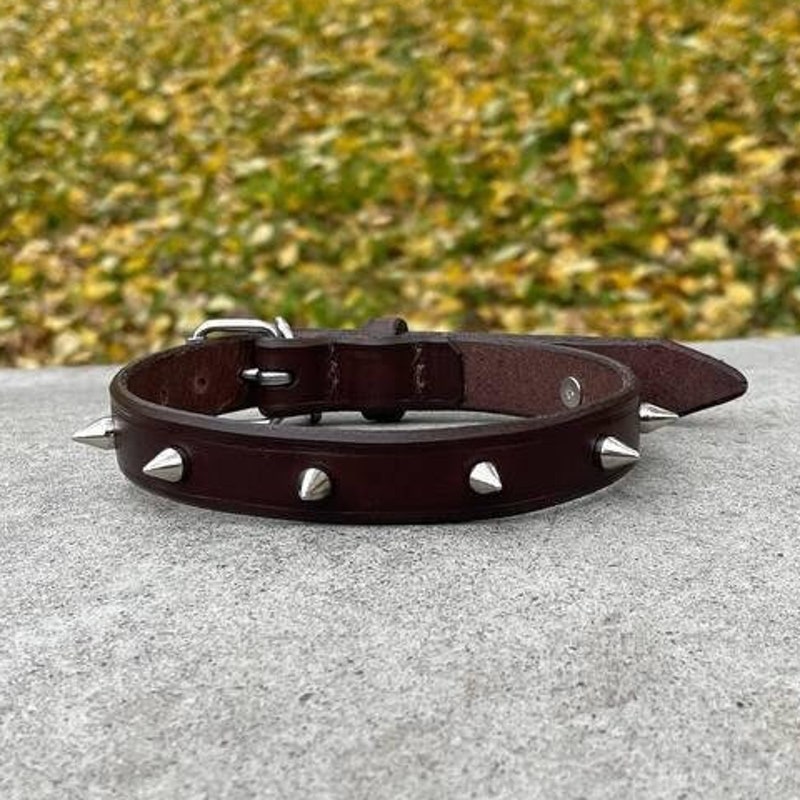 Spiked Dog Collar - Etsy