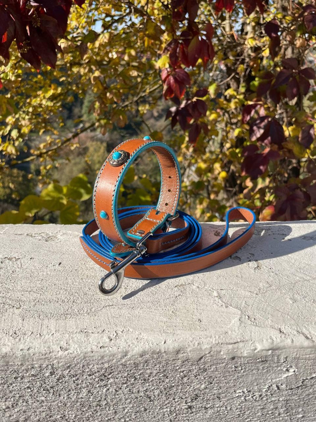 Turquoise Conchos and Flowers Leather Dog Collar and Leash Set, Designer Dog Accessories, Fancy ...