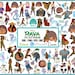 Raya and the Last Dragon Alphabet Letters Cliparts Bundle, Raya and the ...