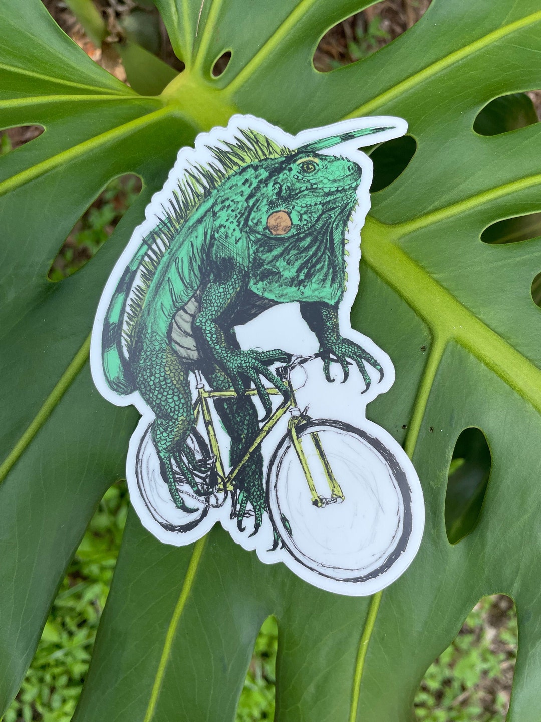 Iguana Sticker - Iguana Vinyl Sticker for Laptops, Cars, Water Bottles ...