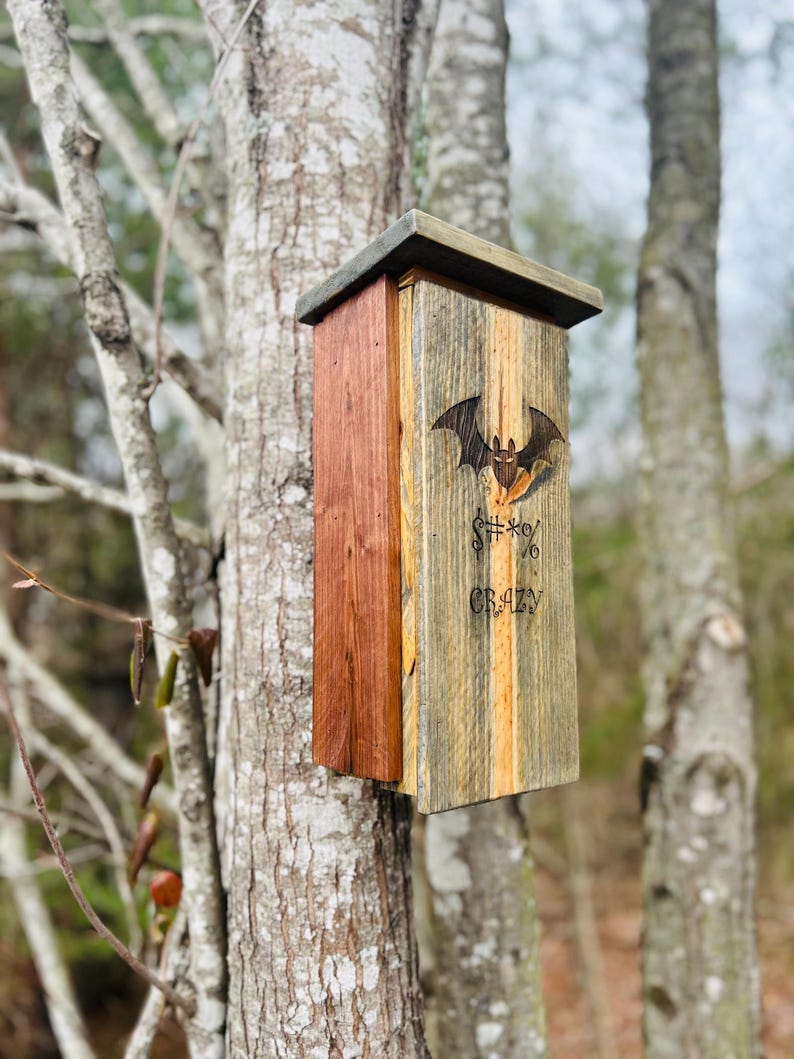 Bat Box - Etsy