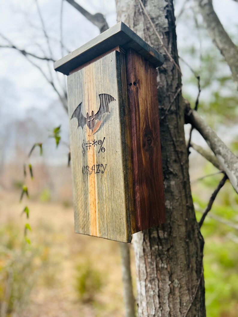 Bat Box - Etsy