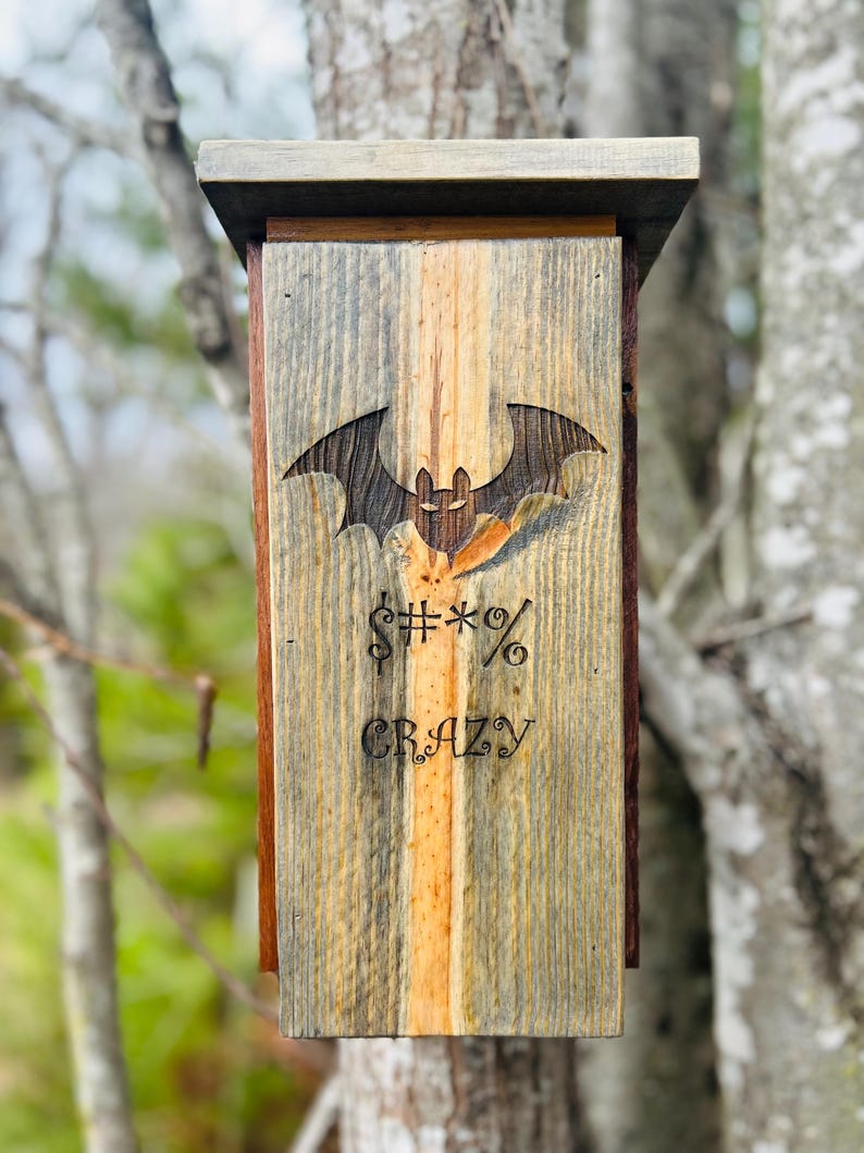 Bat Box - Etsy