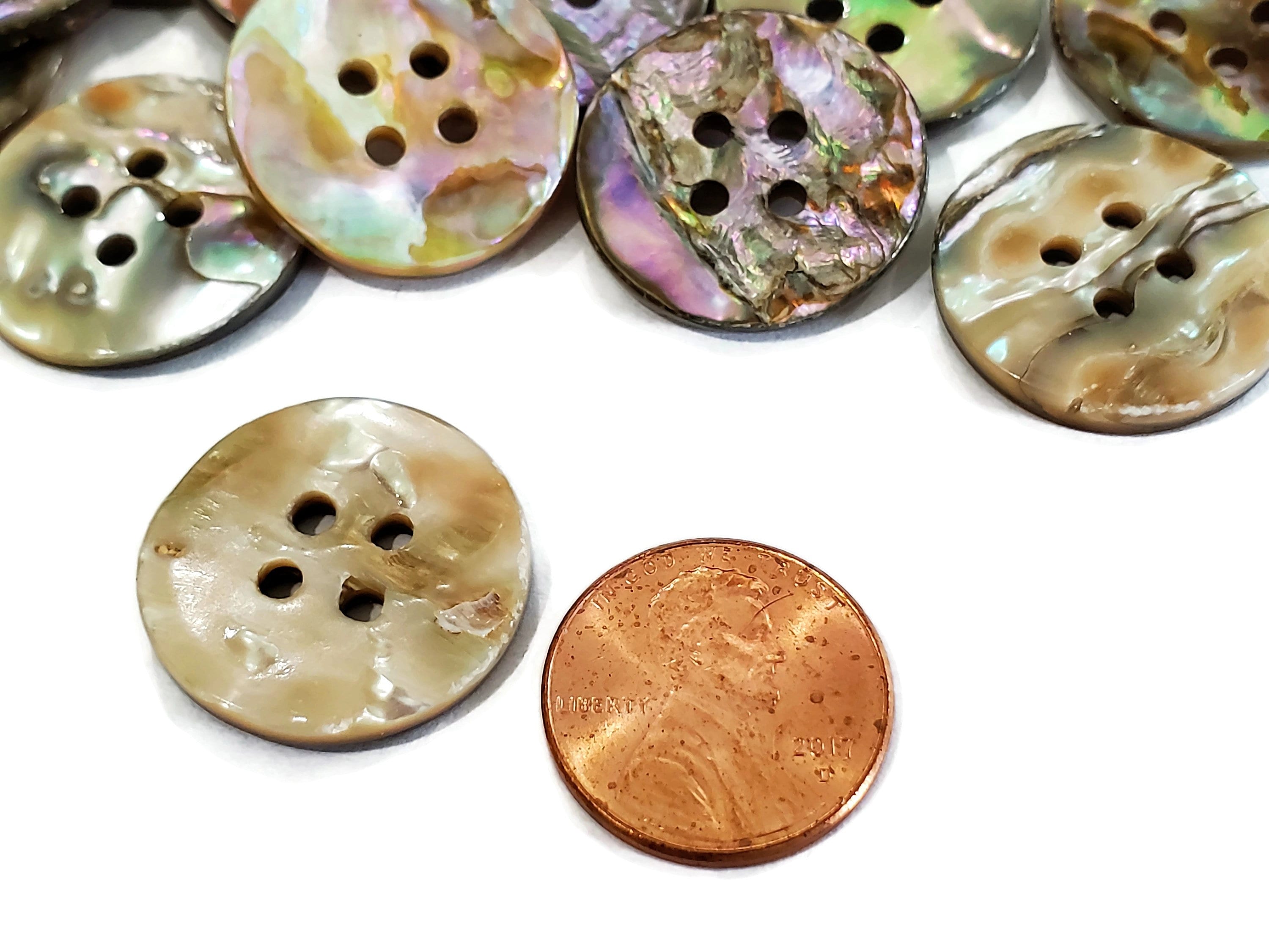 Vintage Abalone Buttons Mother of Pearl Ocean Shell Buttons - Etsy