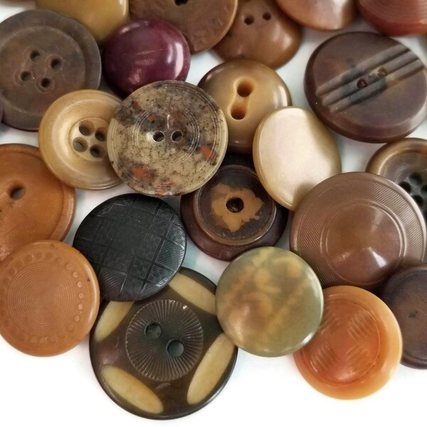 Antique Vegetable Ivory Buttons - Etsy
