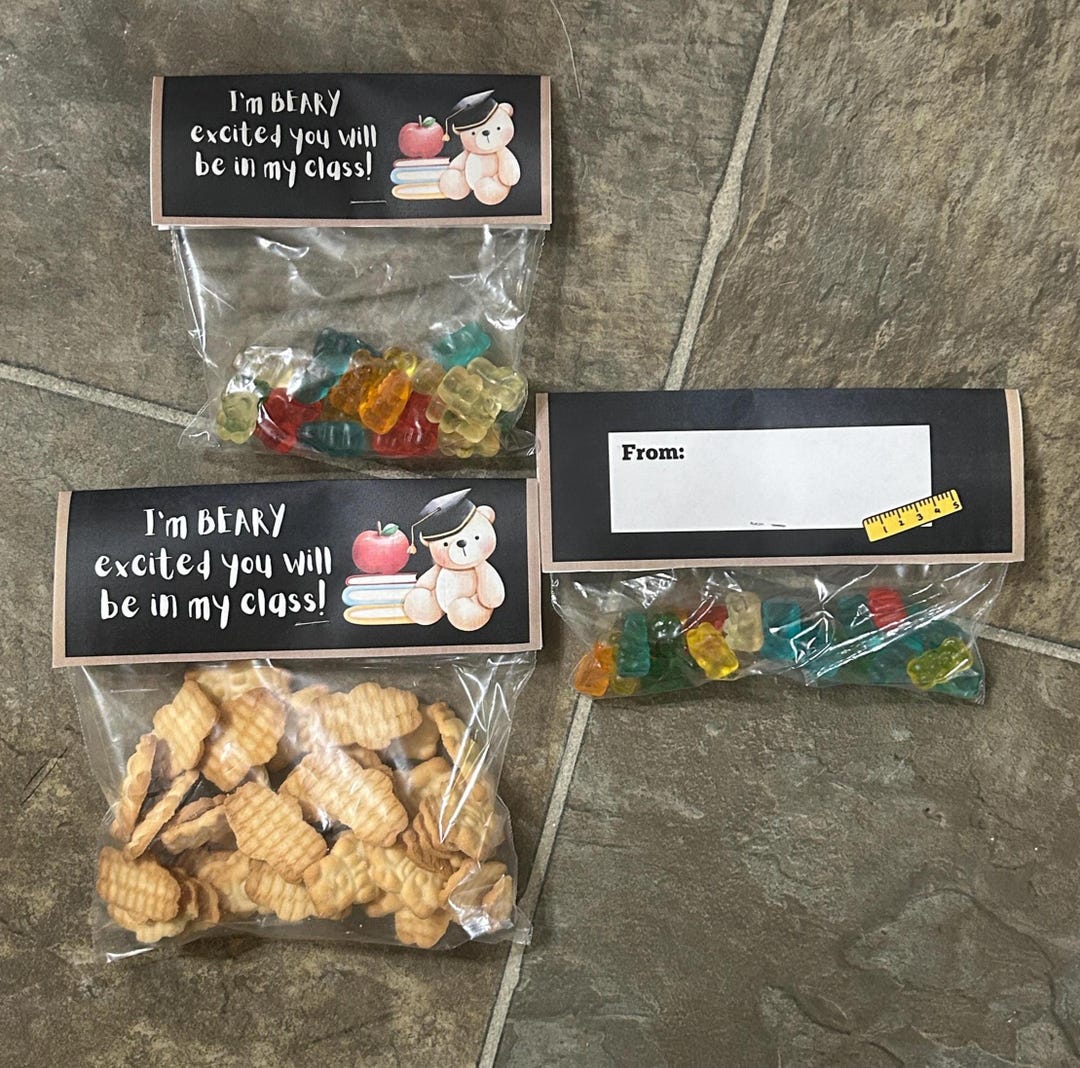 BEARY Excited You Will Be in My Class! - Etsy