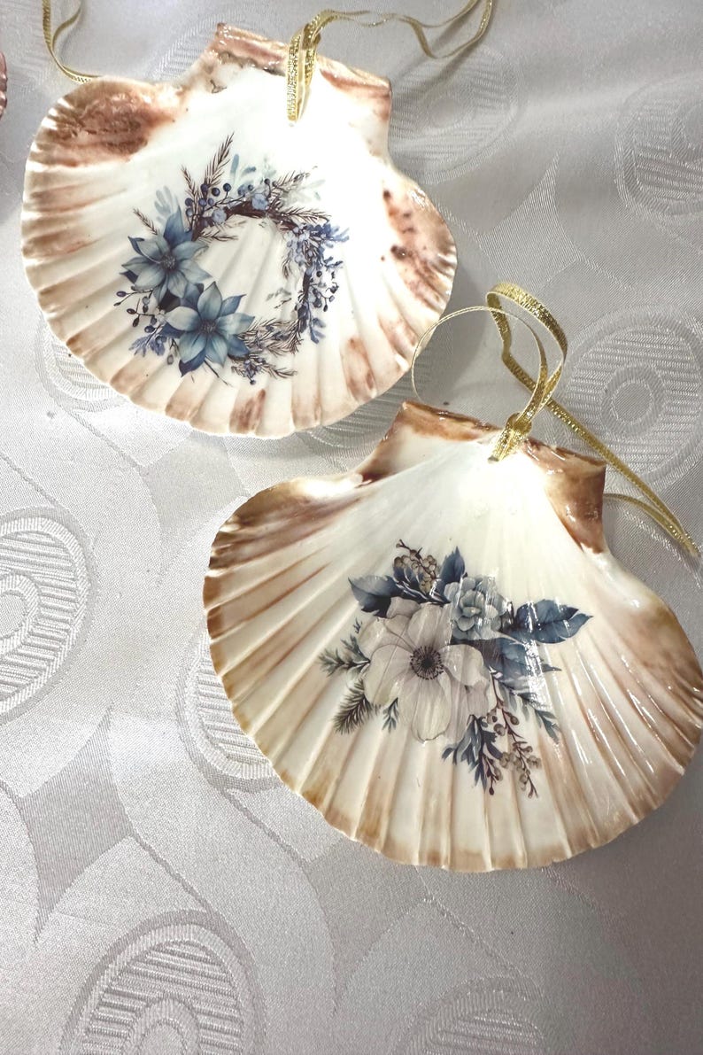 Sea Shells by the Sea Shore. the Perfect Gift for That Person Who Loves ...