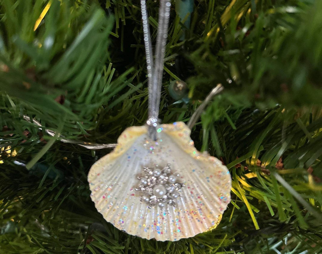 Small Sea Shell With Rhinestones and Pearls With Lots of Sparkles. - Etsy