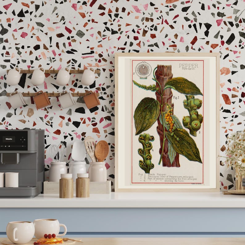 Vintage Botanical Black Pepper Plant Illustration | Antique Natural ...