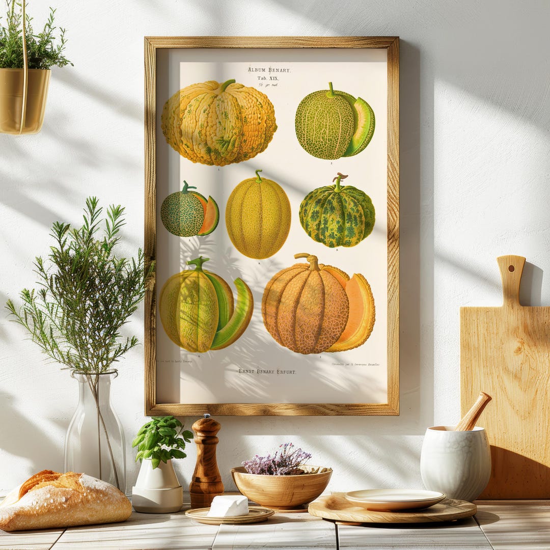 Vintage Melons Poster, Botanical Fruit Art Print - Etsy