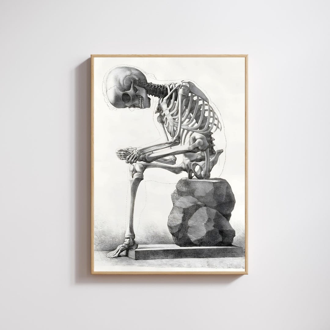 Vintage Skeleton Print | 1800s Anatomical Drawing | Human Anatomy ...