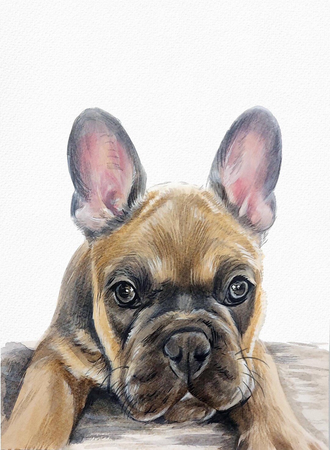 Custom-made Rendering From Dog Photo, Original Hand Drawn Watercolor ...