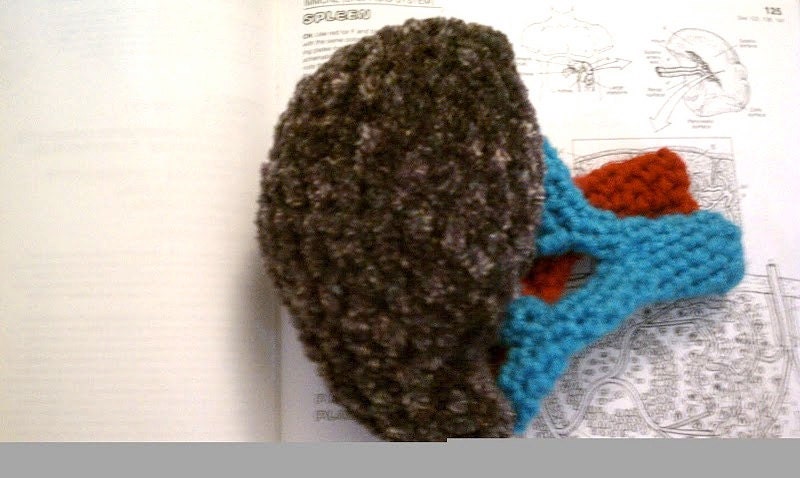 Crochet Plush Spleen - Etsy
