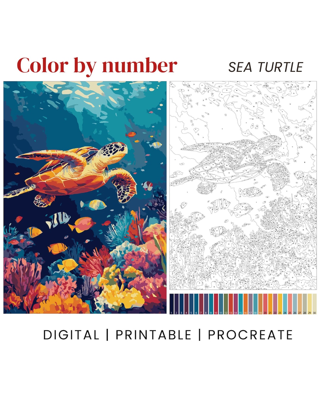 Sea Turtle Color by Number | Digital & Printable Coloring Page (PNG PDF ...