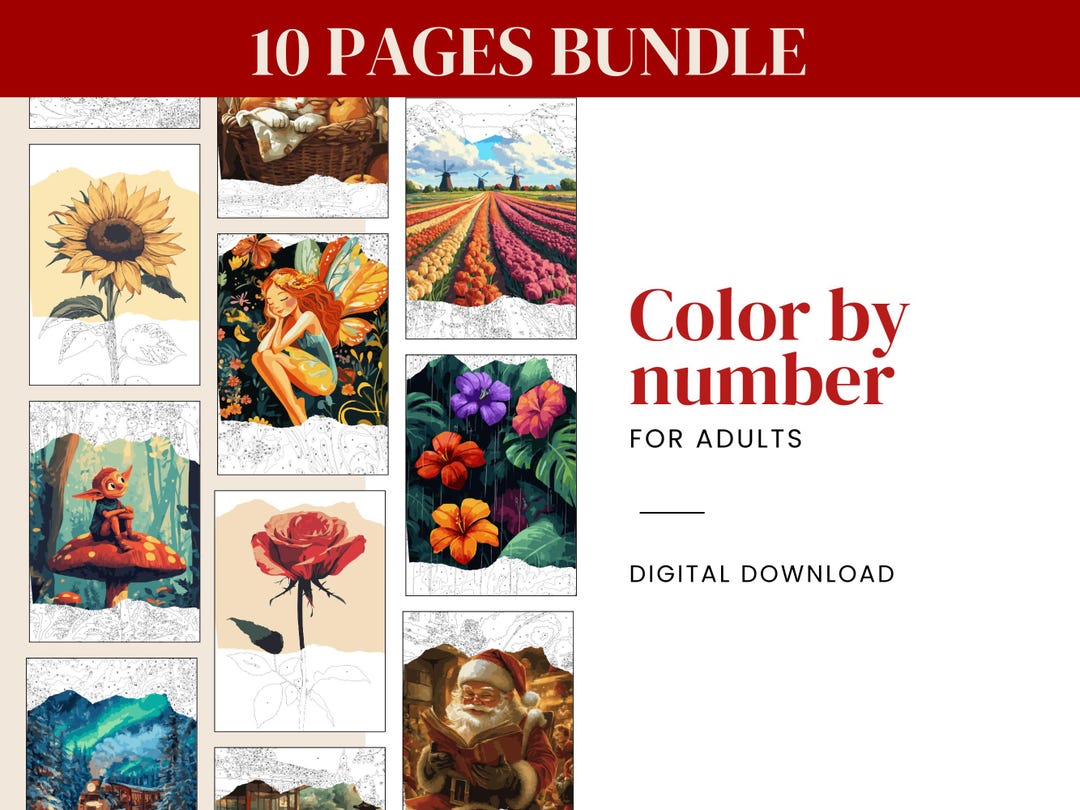 BUNDLE Color by Number BOOK: 10 Paint by Number Pages Included | Paint ...