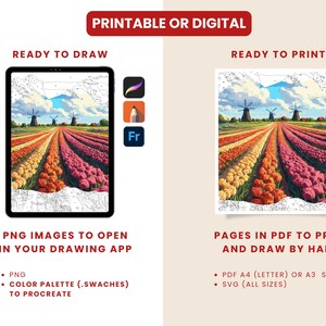 Color by Number for Adults of a "tulip Field" Illustration | Paint by ...