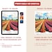 Color by Number for Adults of a "tulip Field" Illustration | Paint by ...