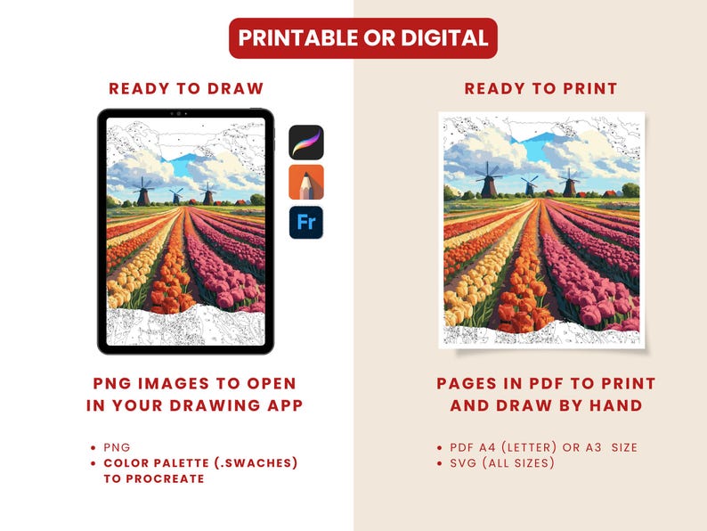 Color by Number for Adults of a "tulip Field" Illustration | Paint by ...