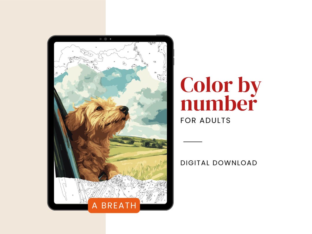 Dog Color by Numbers for Adults Printable & Digital Art - Etsy