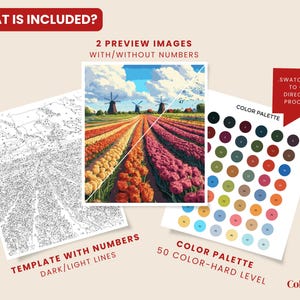 Color by Number for Adults of a "tulip Field" Illustration | Paint by ...