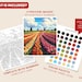 Color by Number for Adults of a "tulip Field" Illustration | Paint by ...