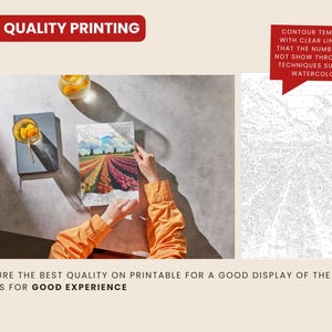 Color by Number for Adults of a "tulip Field" Illustration | Paint by ...