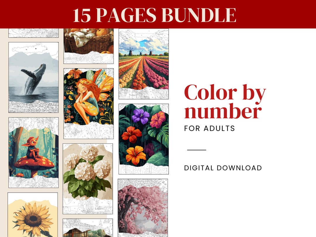 BUNDLE Color by Number BOOK: 15 Paint by Number Pages Included | Paint ...