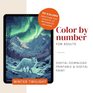 Northern Lights Paint by Number | Winter Color by Number for Adults ...
