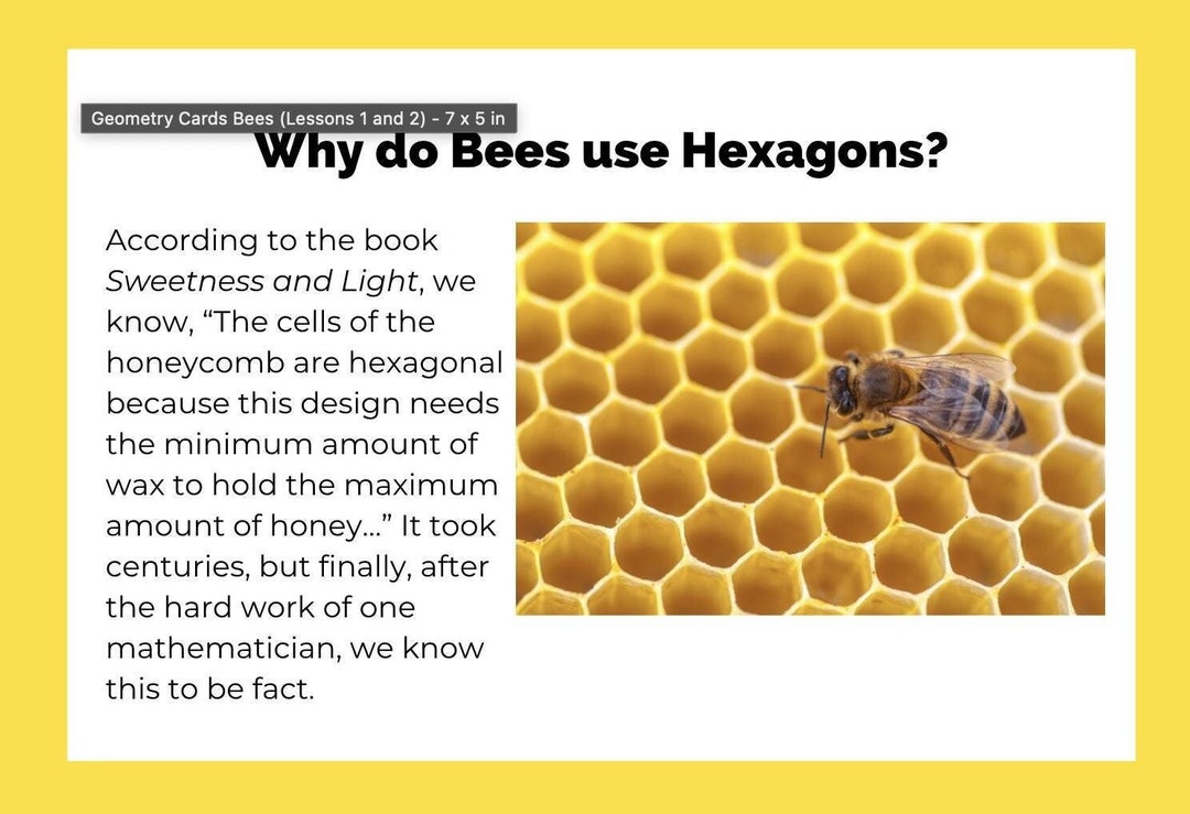 Honey Bee Geometry Instructional Cards (montessori) - Etsy