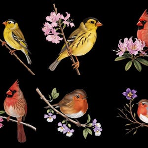 State Birds & Flowers Design Bundle. 5 PNG Files per State. Custom ...