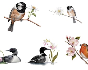 State Birds & Flowers Design Bundle. 5 PNG Files per State. Custom ...