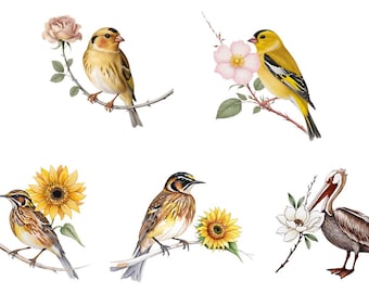 State Birds & Flowers Design Bundle. 5 PNG Files per State. Custom ...