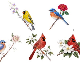 State Birds & Flowers Design Bundle. 5 PNG Files per State. Custom ...