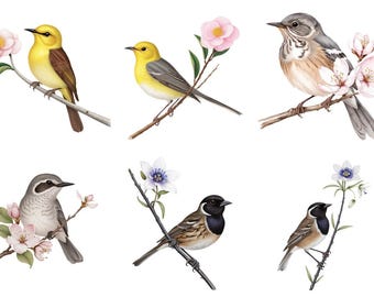 State Birds & Flowers Design Bundle. 5 PNG Files per State. Custom ...